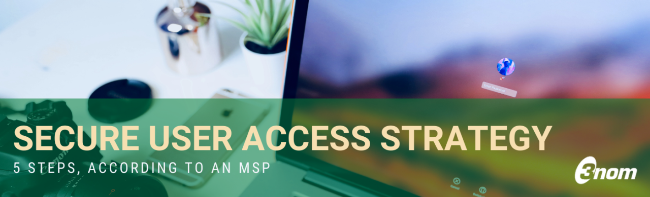 Five Steps to a Secure User Access Strategy: Tips from a Managed ...